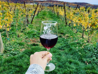 Events: Upstate ny | Hudson Valley | Catskill Mountains | Millbrook Winery’s Grand Portfolio ...