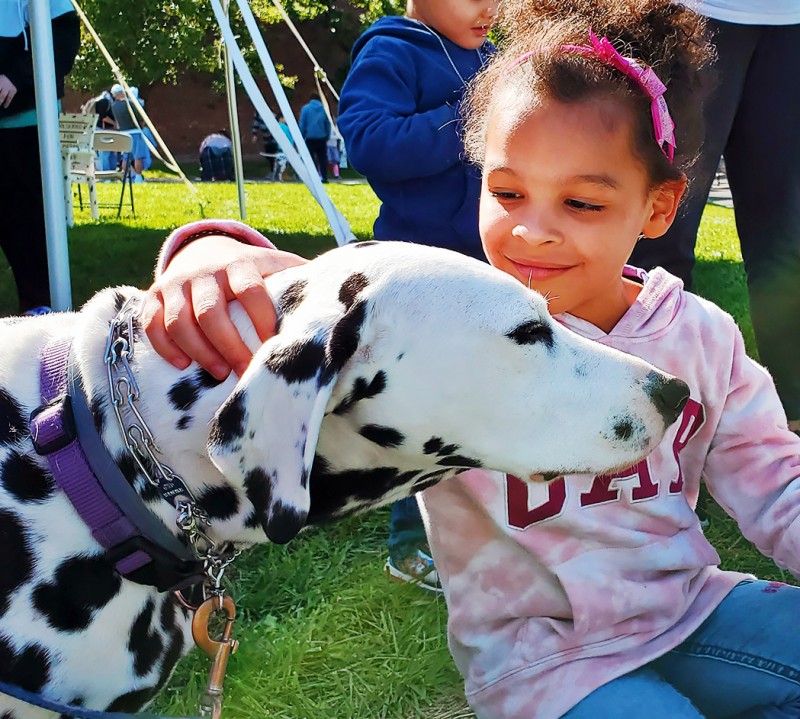 Events: Upstate ny | Hudson Valley | Catskill Mountains | Dalmatian Day 2023