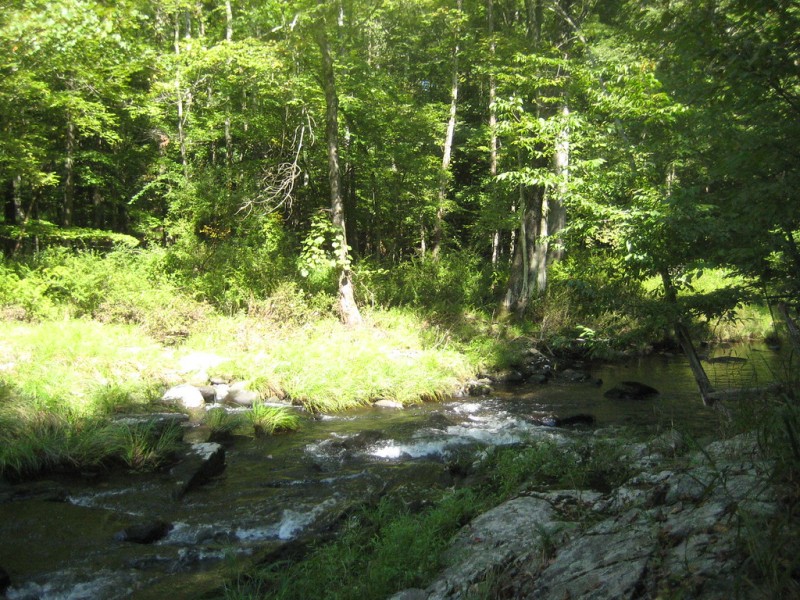 Events: Upstate ny | Hudson Valley | Catskill Mountains | Forestry Through the Years